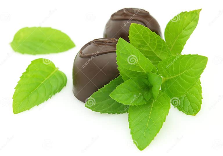 Candy with fresh mint stock photo. Image of peppermint - 14915278