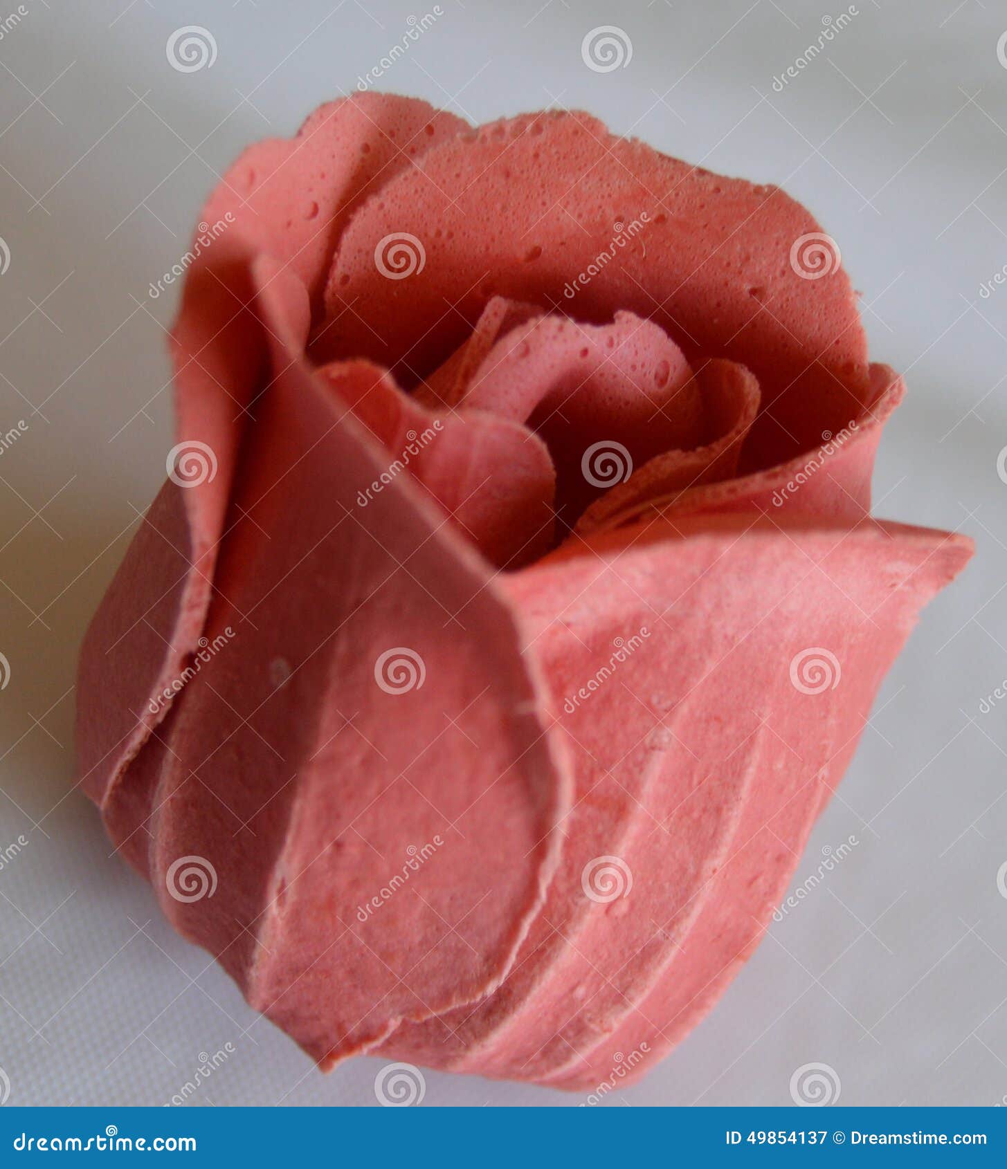 Candy Rose stock image. Image of pink, candy, rose, white - 49854137