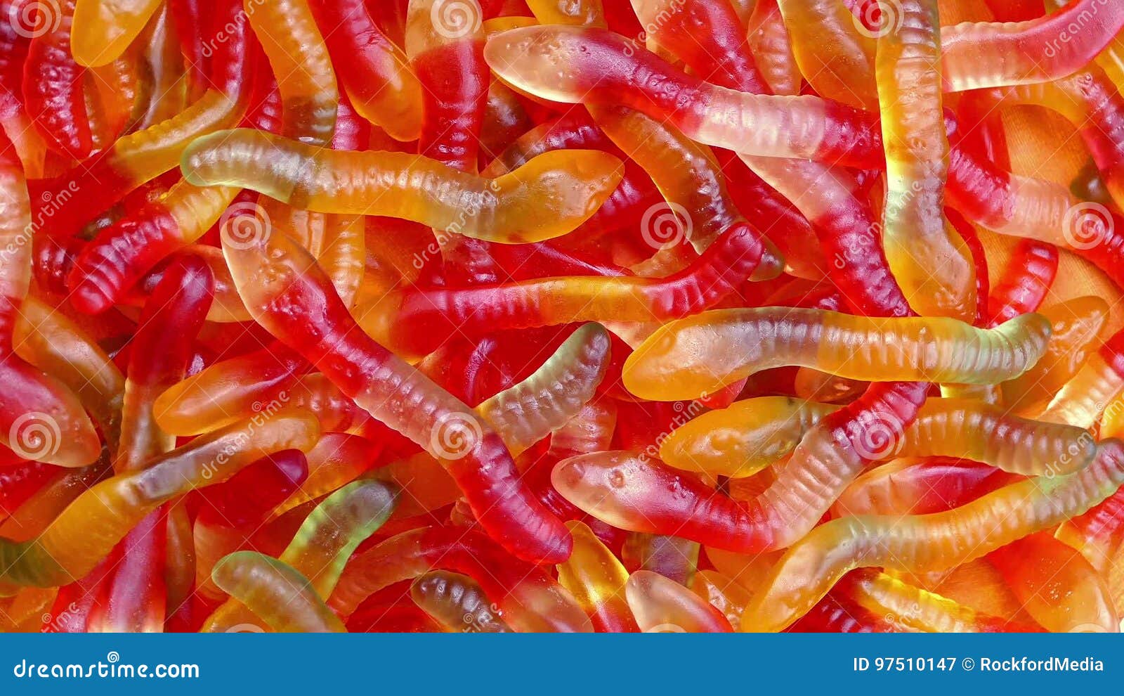 Candy Snakes Stock Footage & Videos - 5 Stock Videos