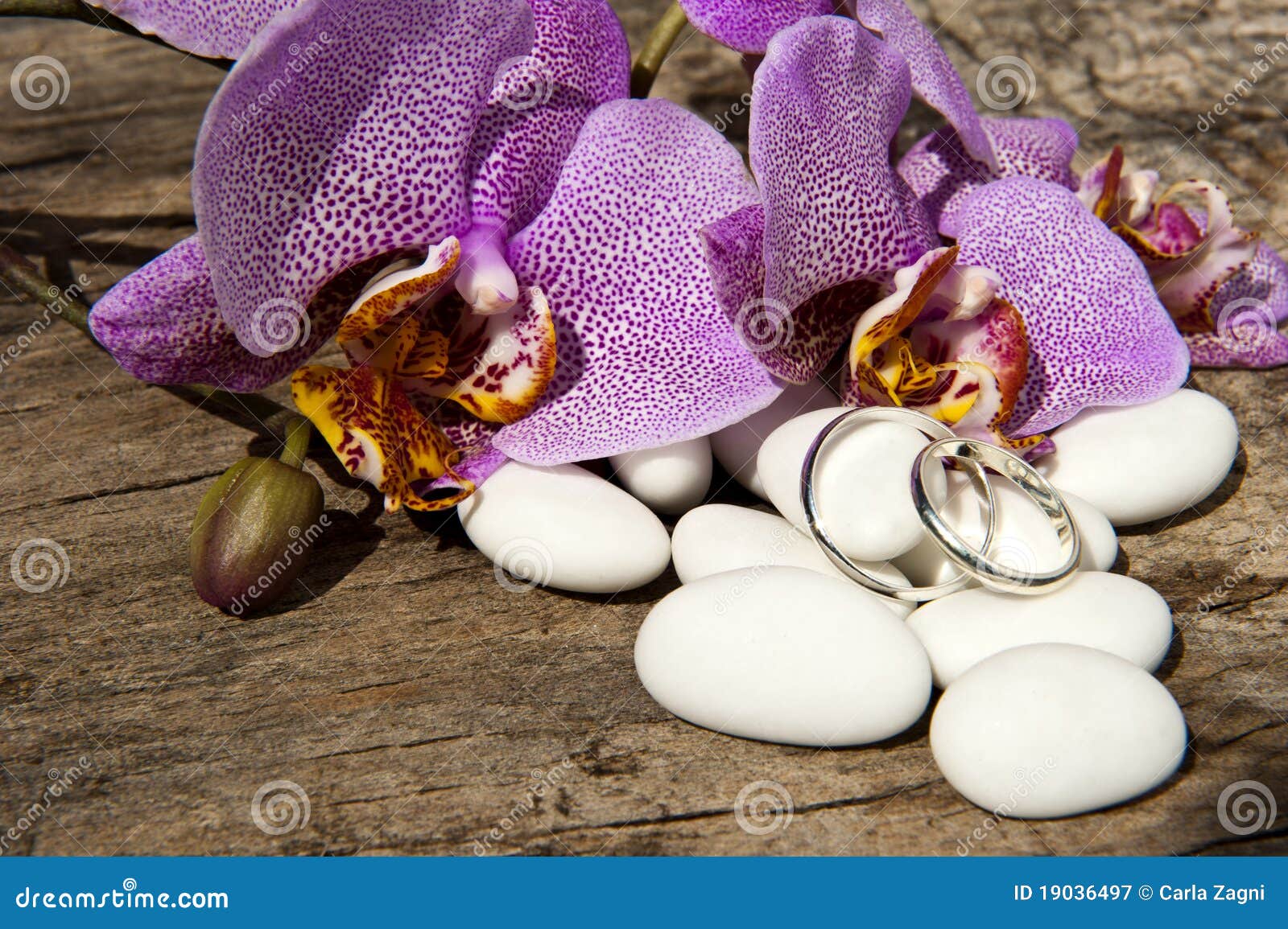 Candy ,wedding Rings and Orchid Stock Image - Image of boxes, couples ...