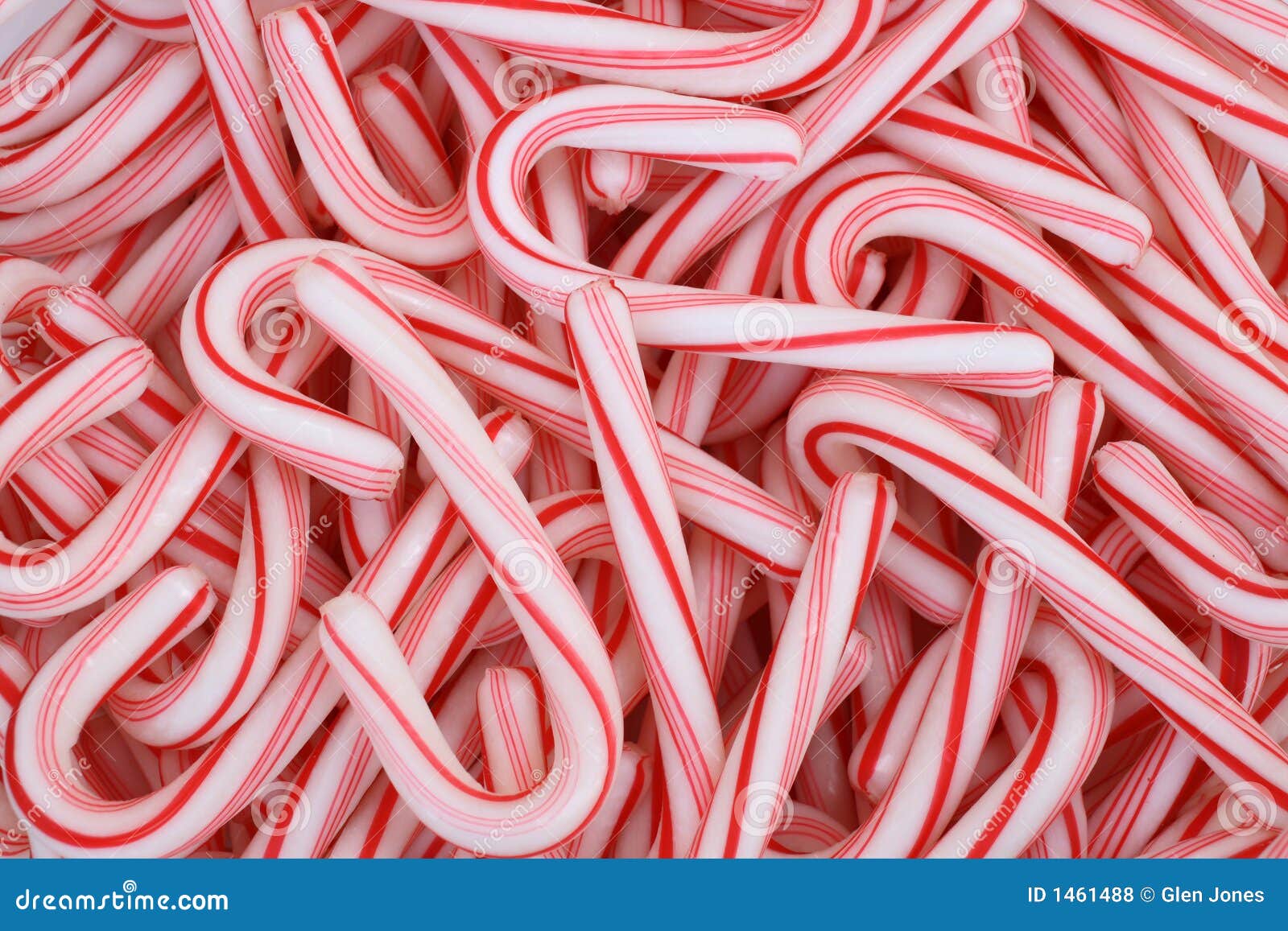 Candycanes stock photo. Image of christmas, stripe, festive - 1461488