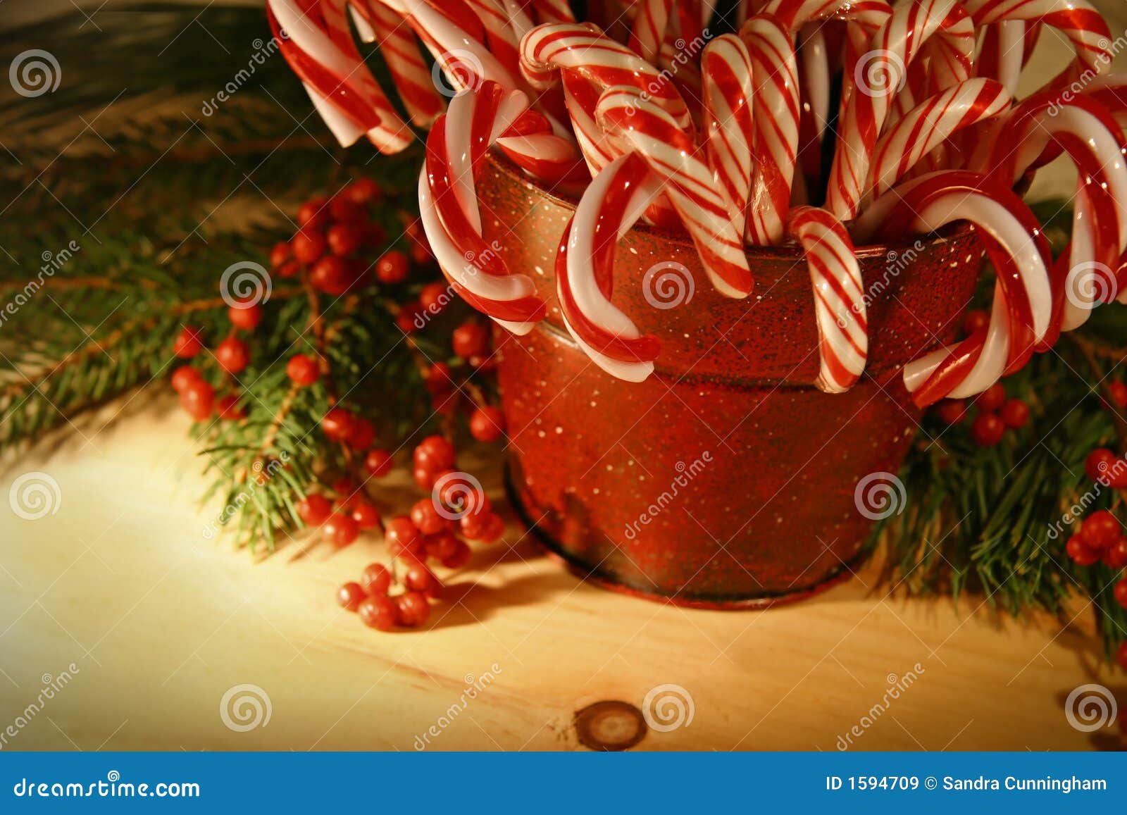Candycanes stock image. Image of candy, candycane, mint - 1594709