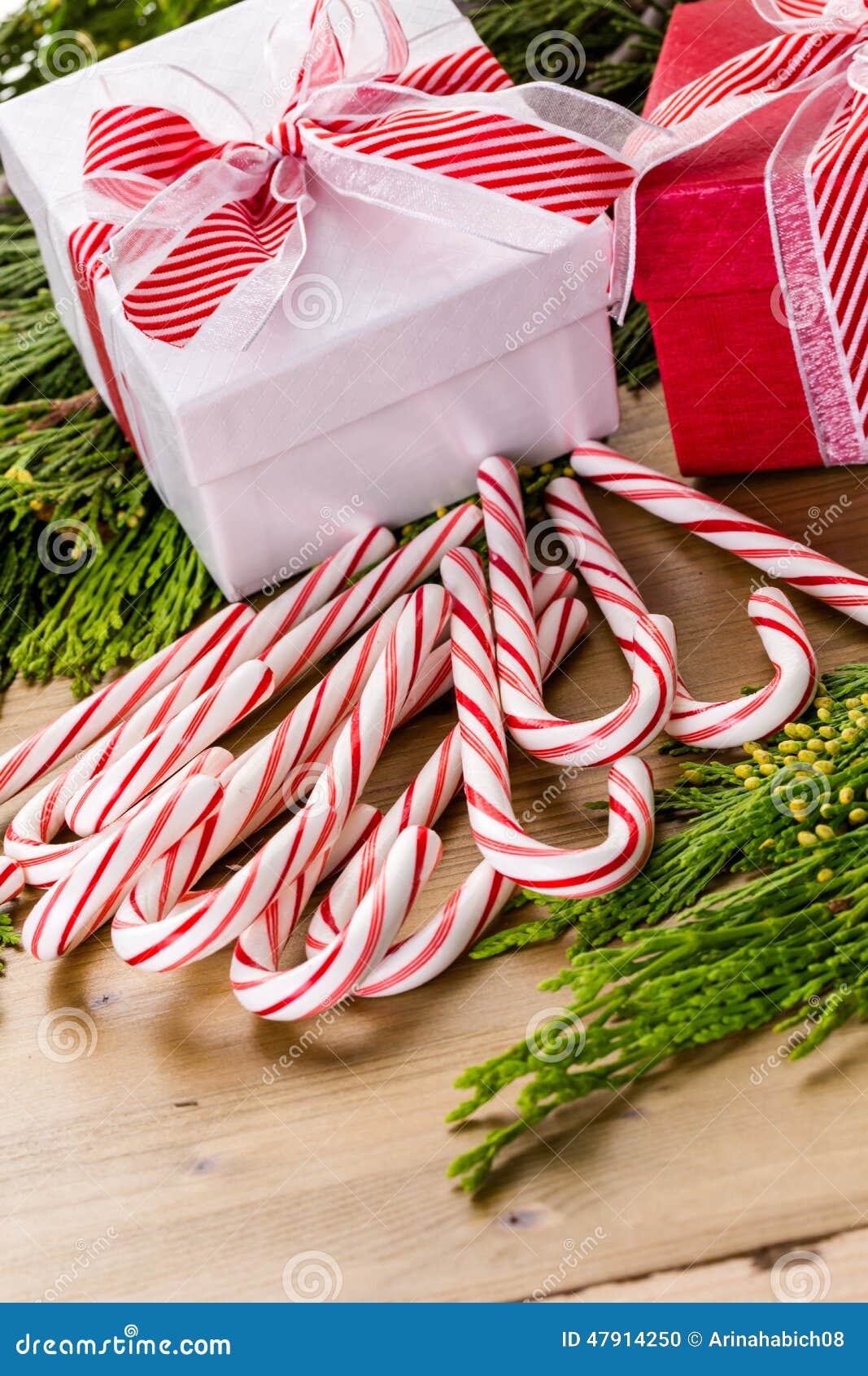 Candycanes stock photo. Image of evergreen, cane, winter - 47914250