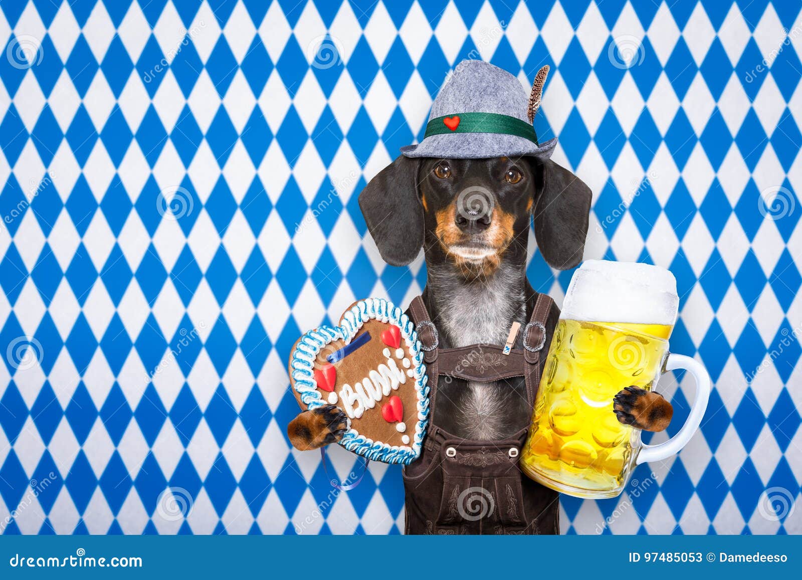 Cane bavarese della birra immagine stock. Immagine di monaco - 97485053 Cane bavarese della birra immagine stock. Immagine di monaco - 97485053