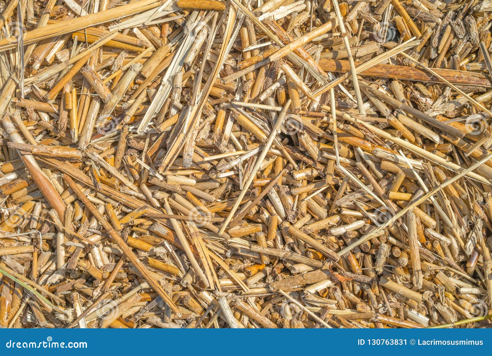 Cane chips stock image. Image of mound, chipping, chip - 130763831