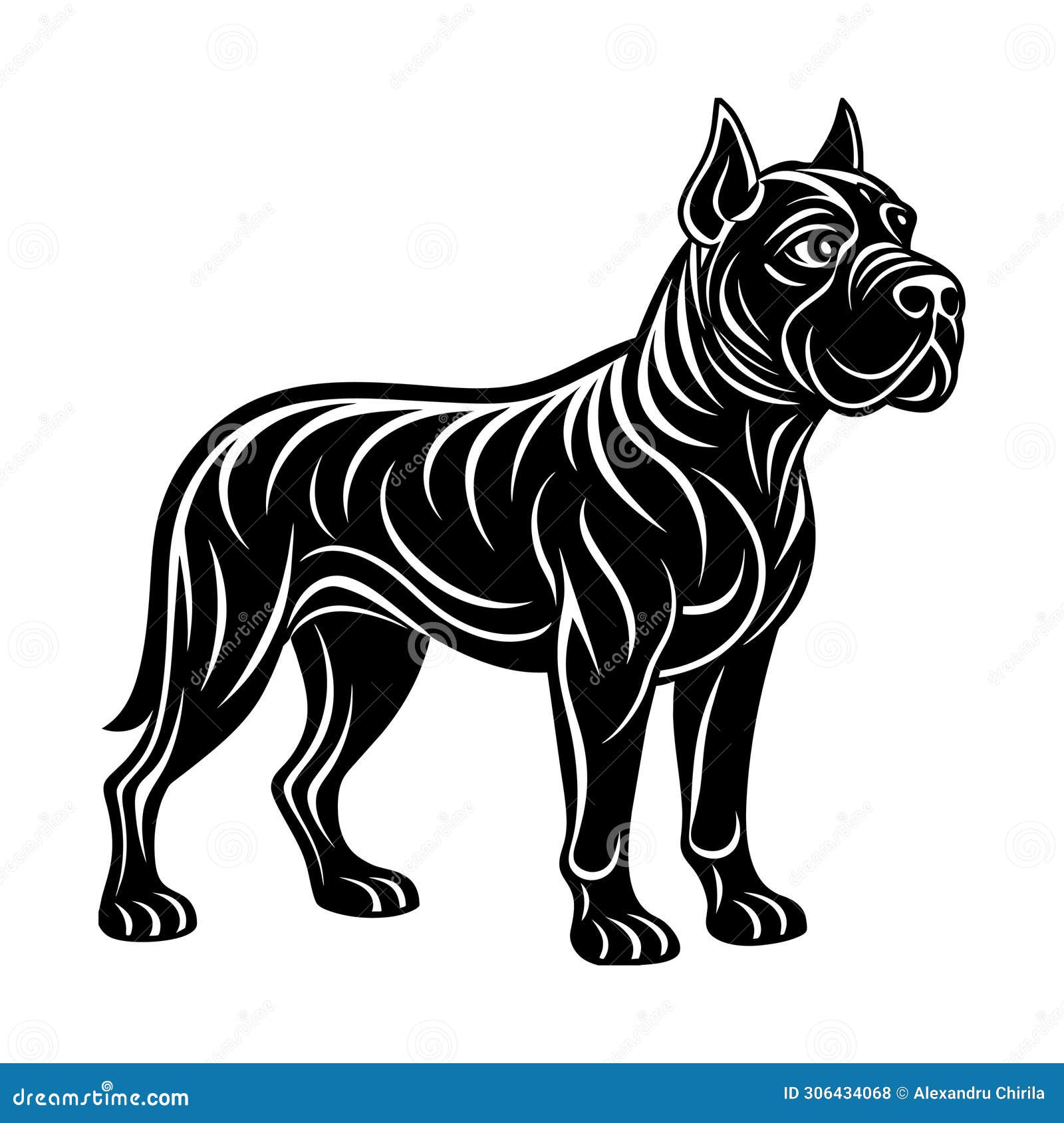 Cane Corso Graphic Vector EPS Stock Vector - Illustration of gifts ...