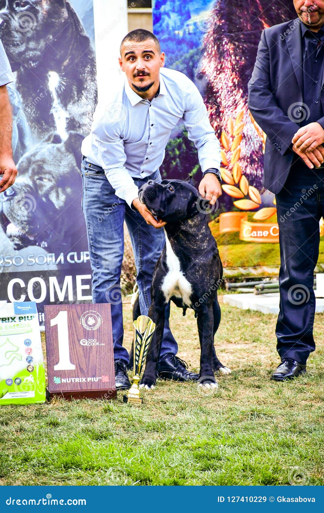 Cane Corso Italiano Dog Exhibition Sofia, Cane Corso Sofia Cup ...