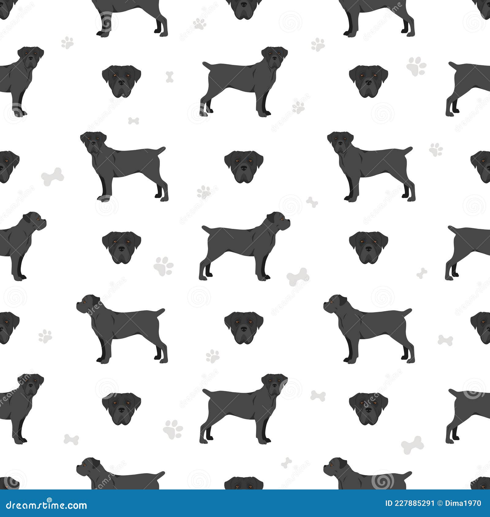 Cane Corso Seamless Pattern. Different Poses, Coat Colors Set Stock ...
