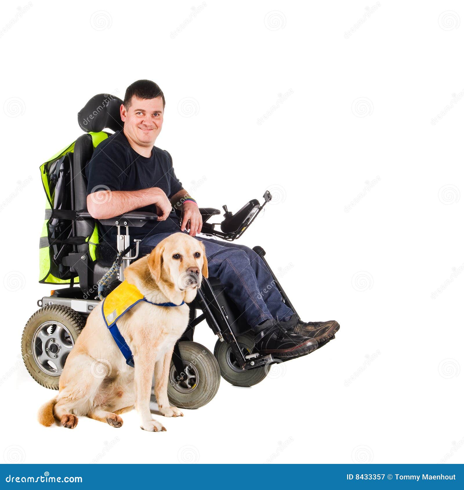 Cane di guida immagine stock. Immagine di disabile, cane - 8433357