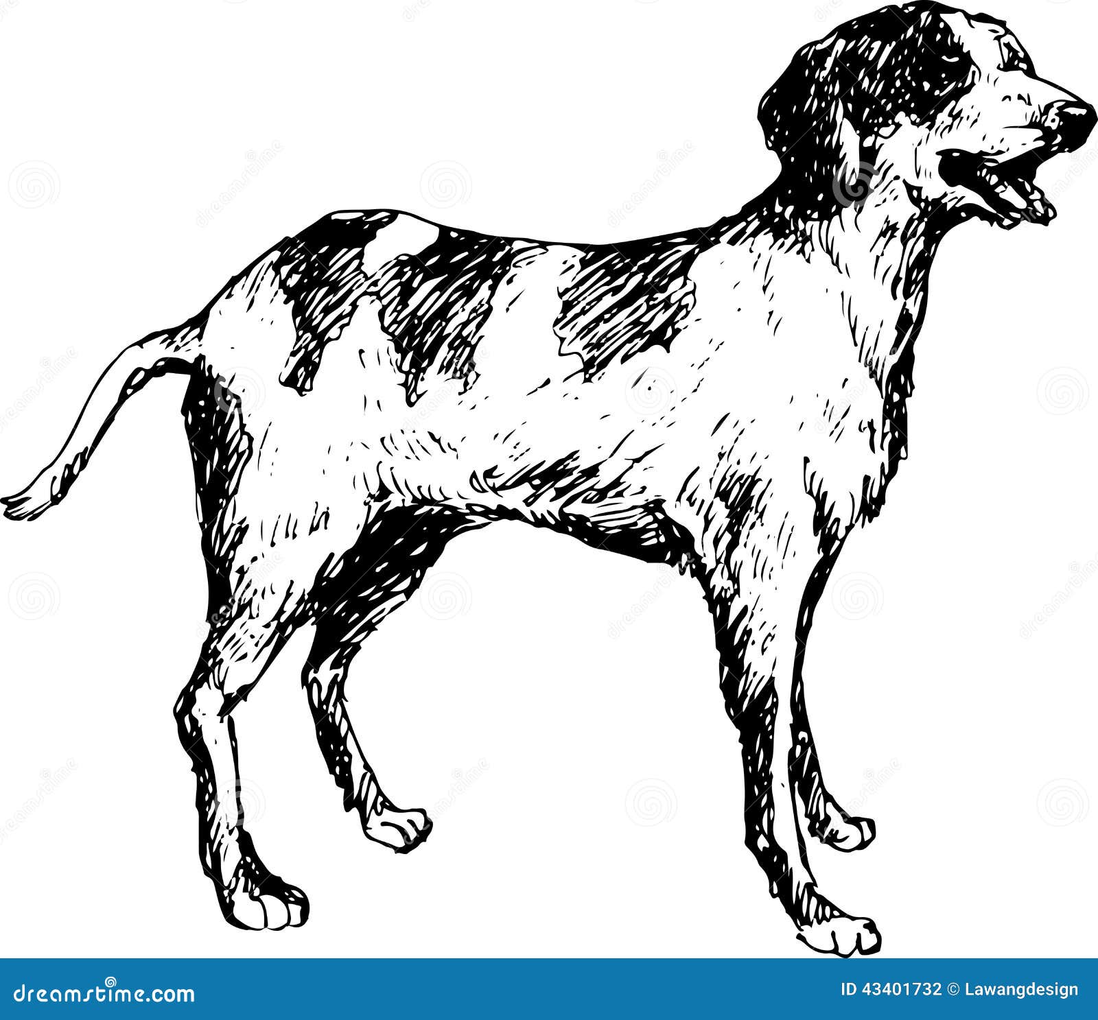 Cane disegnato a mano illustrazione vettoriale. Illustrazione di ...