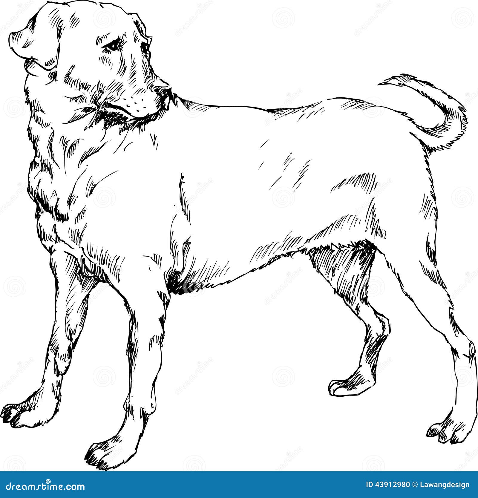 Cane disegnato a mano illustrazione vettoriale. Illustrazione di ...