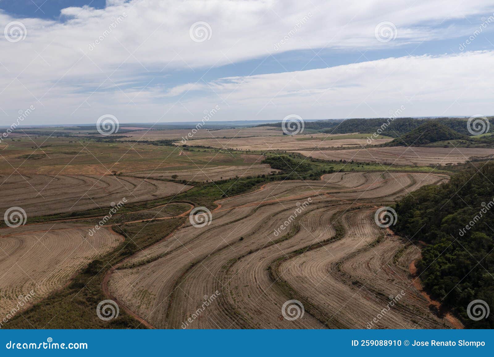 Cane Fields Seen from Above by Drone Stock Photo - Image of cane ...