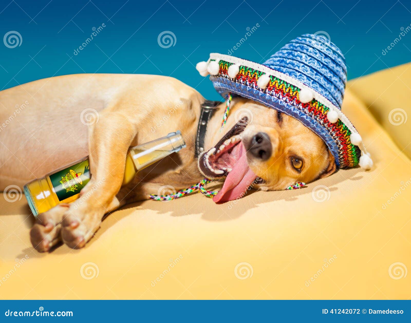 Meme Del Cane Ubriaco Meme 😕 Как я себя чувствую