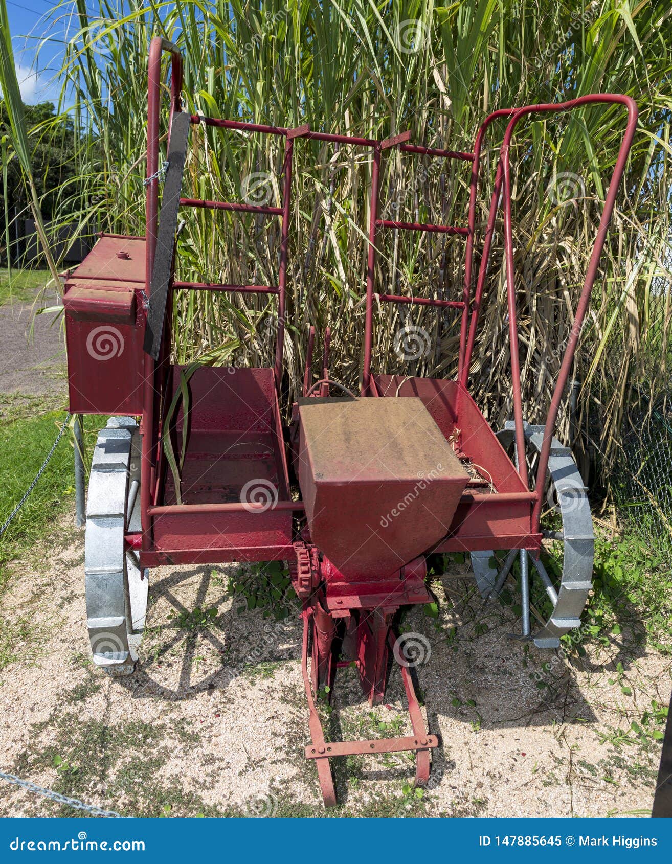 Cane Planter for Planting Cane Stock Image - Image of farmer, sugar ...