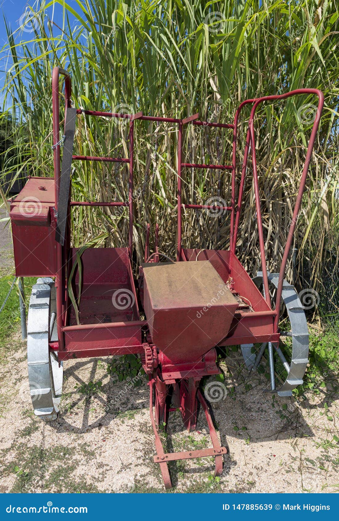 Cane Planter for Sugar Cane Stock Image - Image of antique, sugarcane ...