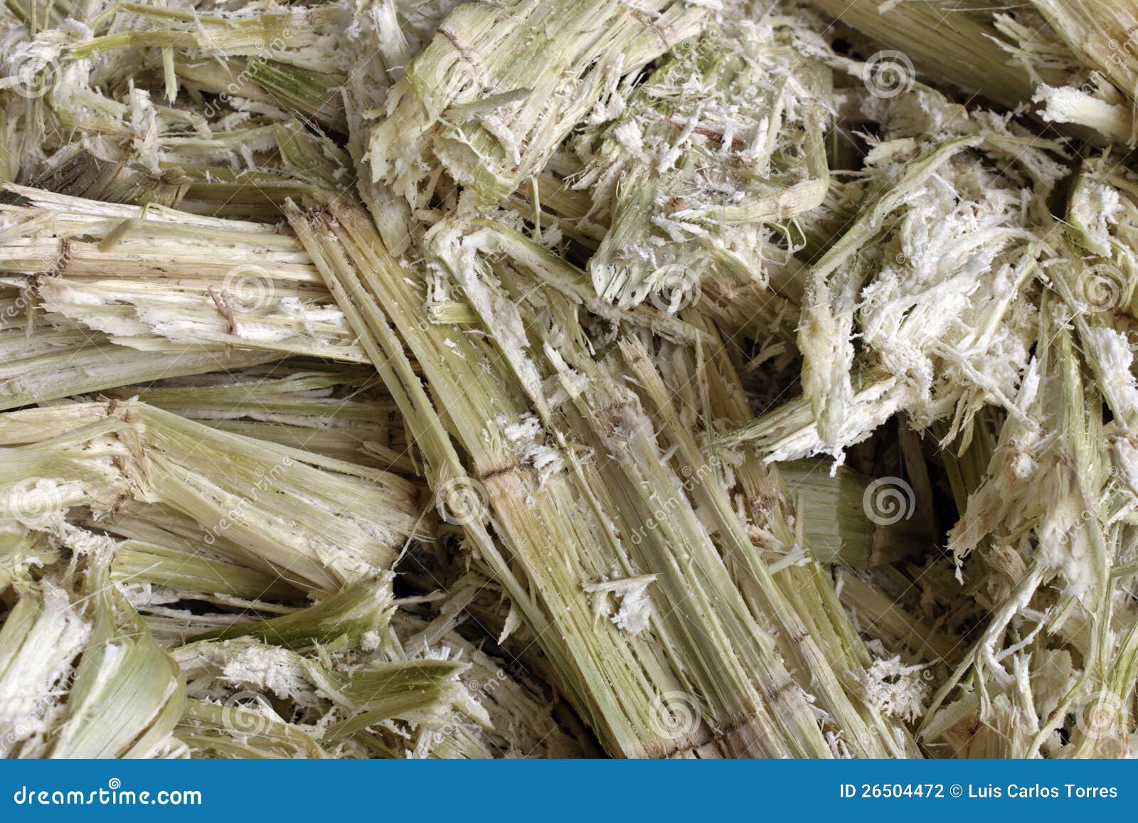 Cane pulp detail stock photo. Image of fullframe, farm - 26504472