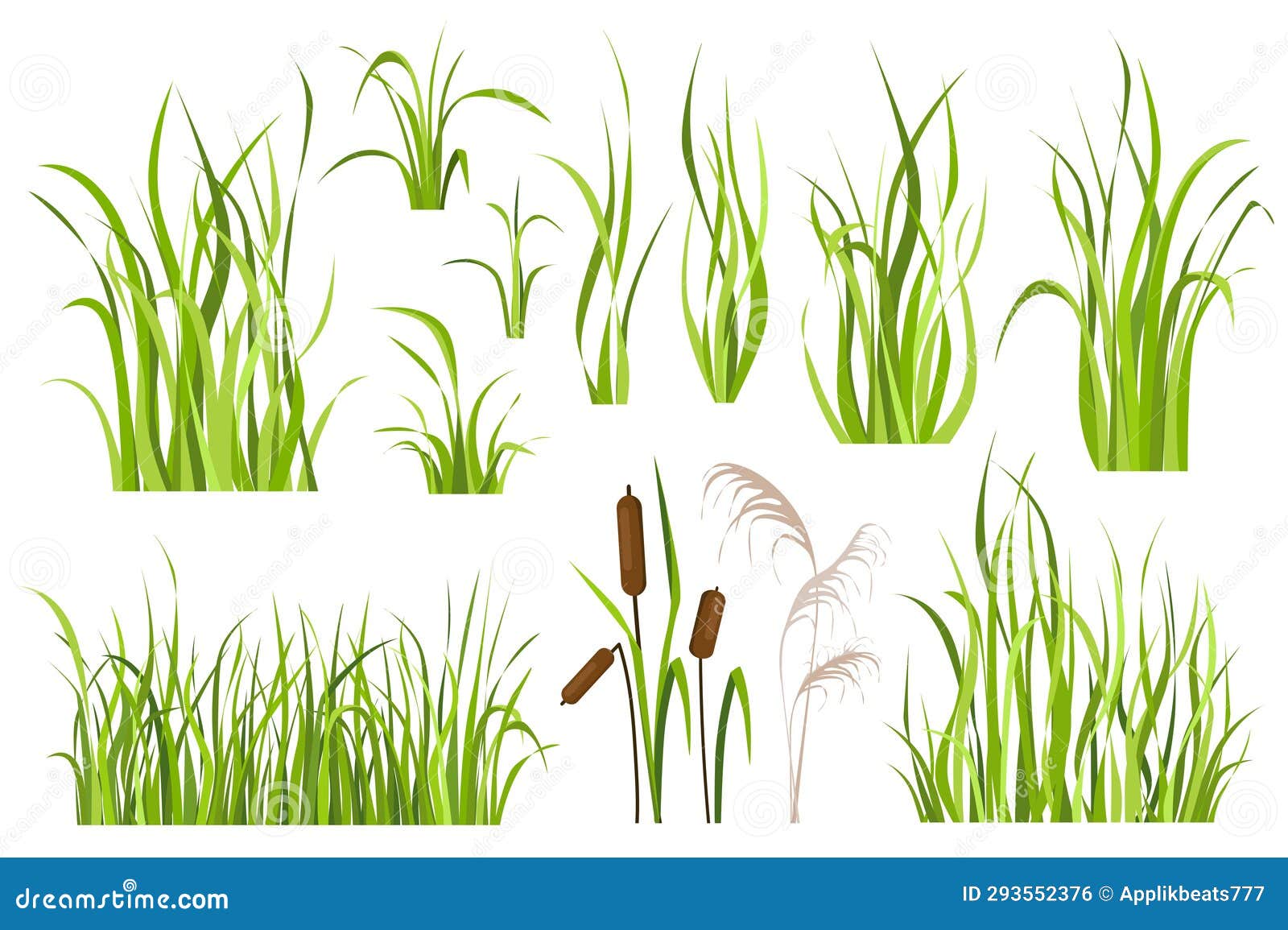 Cane and Reed Plant Set Graphic Elements in Flat Design Stock Vector ...