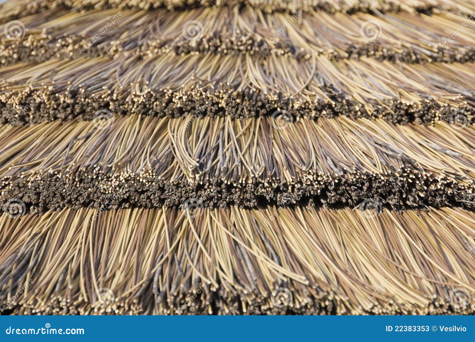 Cane Roof Traditional African Ceiling System Stock Photography ...