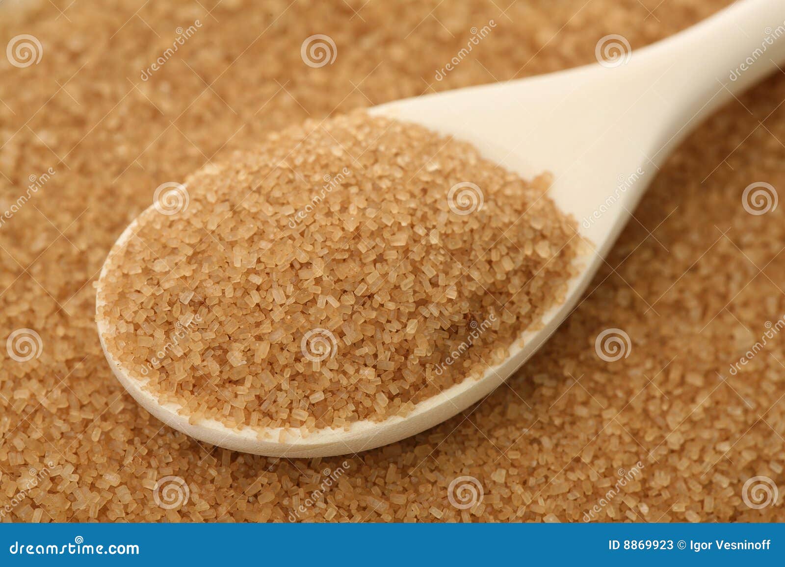 Cane sugar stock image. Image of sugar, grained, ingredient - 8869923