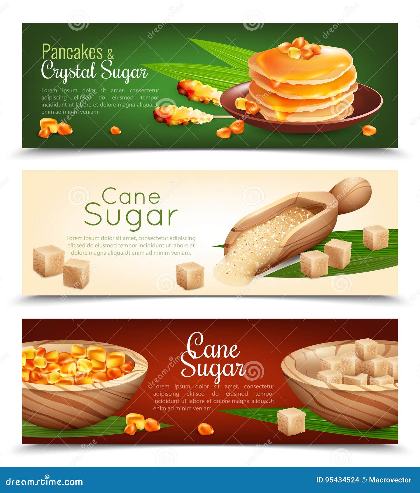 Set Of Cane Sugar. Sugarcane Products. Growing Sweet Plants On ...