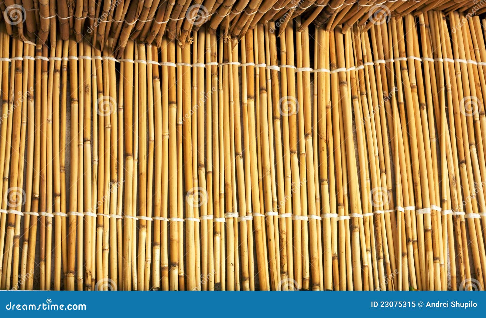 Cane texture stock image. Image of asian, brown, backdrop - 23075315
