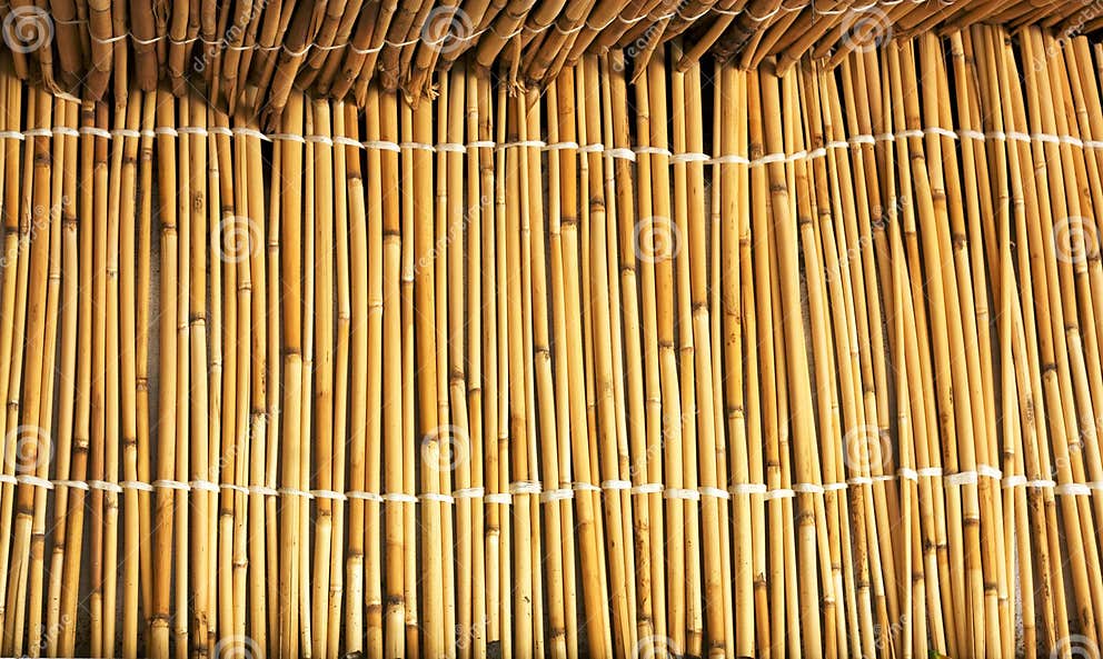 Cane texture stock image. Image of asian, brown, backdrop - 23075315