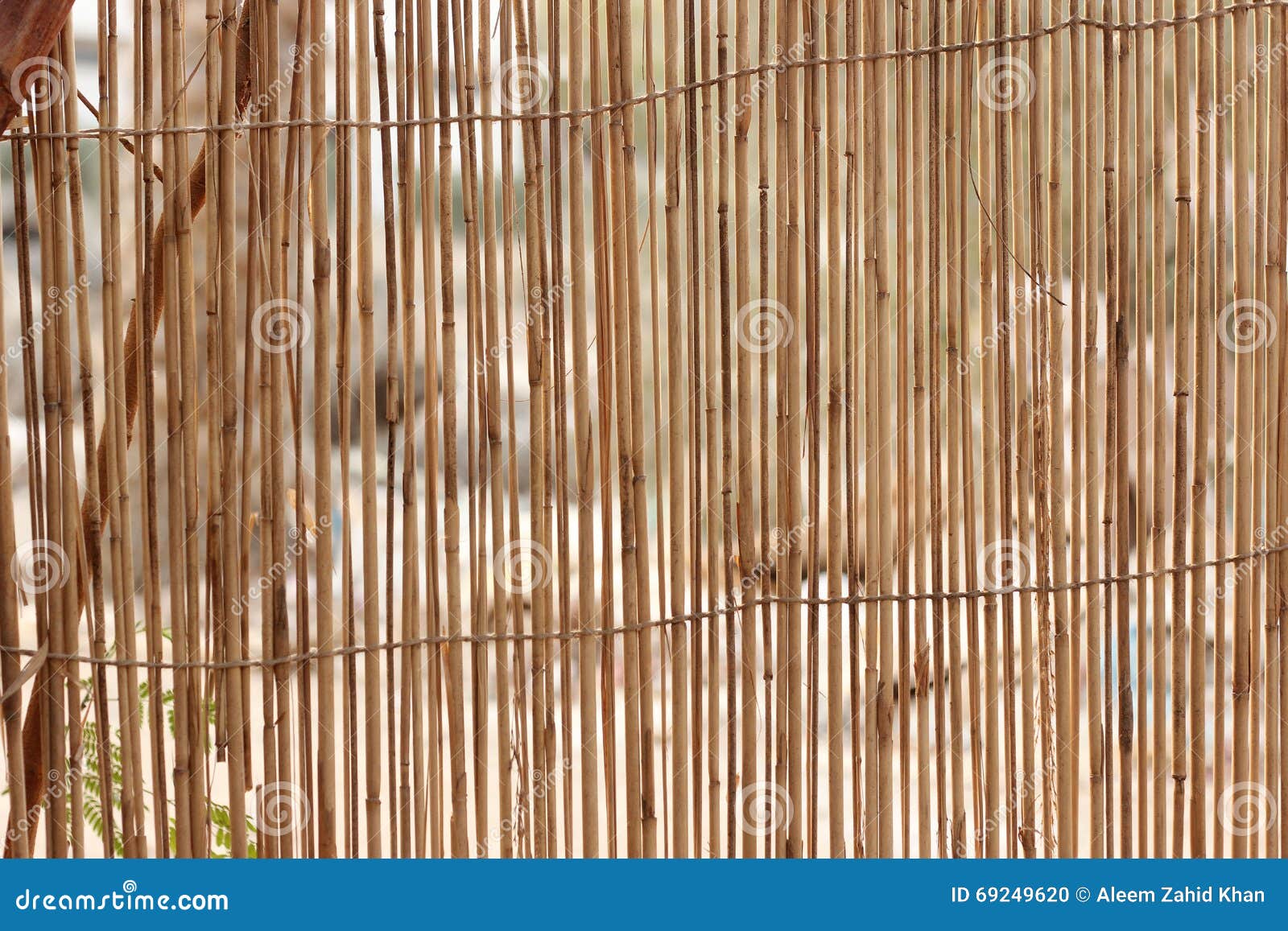 Cane Texture and Background Stock Photo - Image of tree, plank: 69249620
