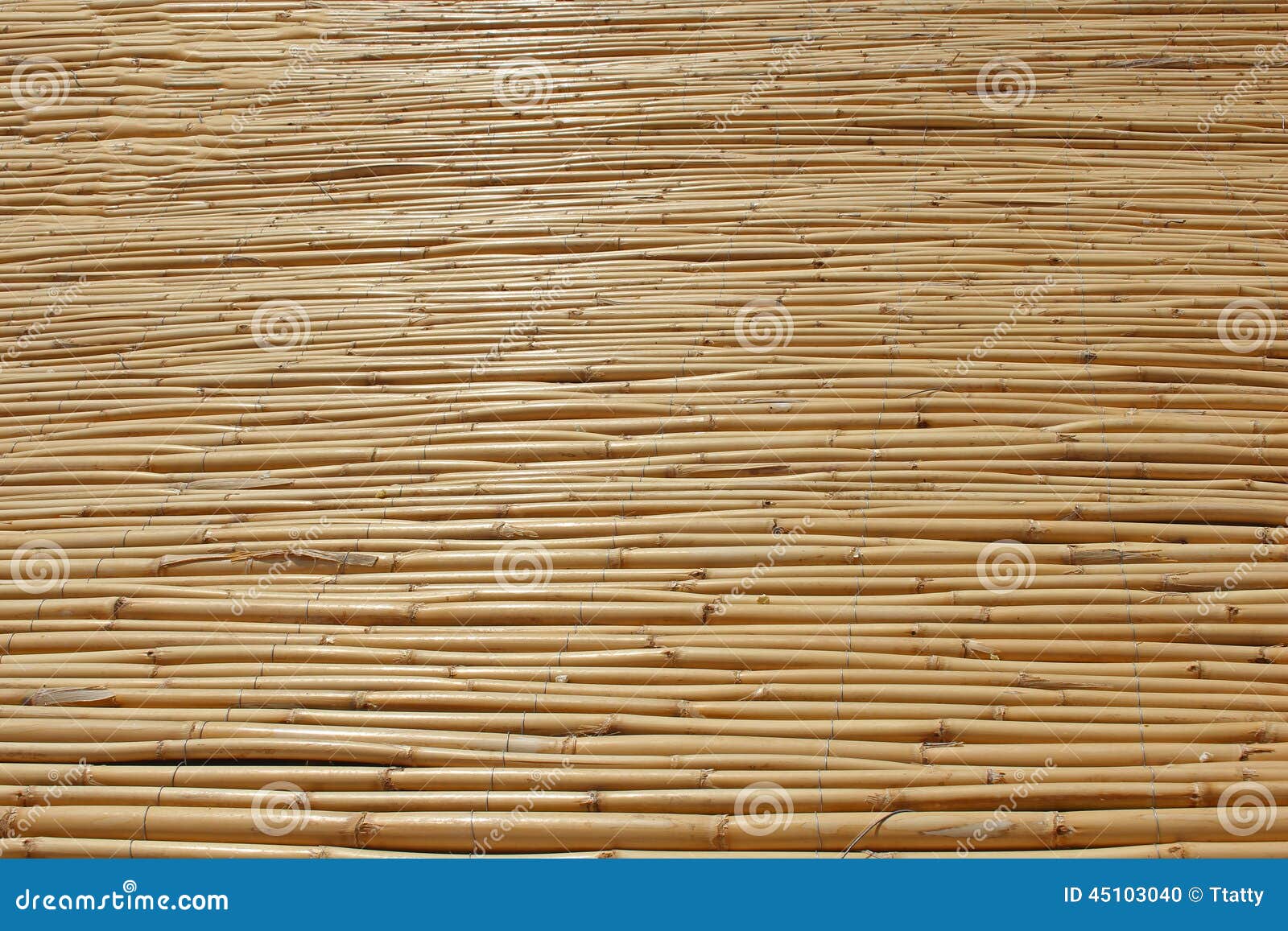 Cane texture stock photo. Image of beige, line, pattern - 45103040