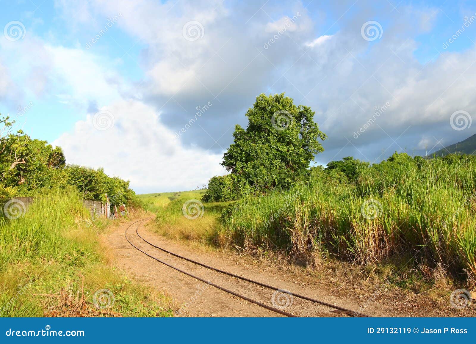 Cane Train Track - St Kitts Stock Image - Image of transportation ...