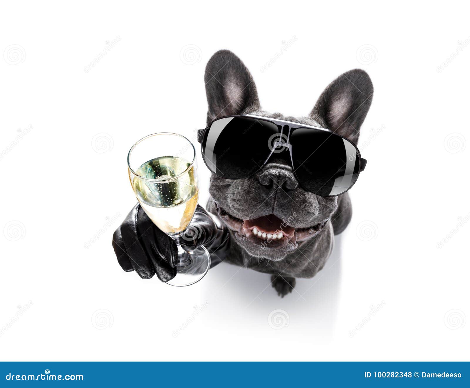 Meme Del Cane Ubriaco Meme 😕 Как я себя чувствую