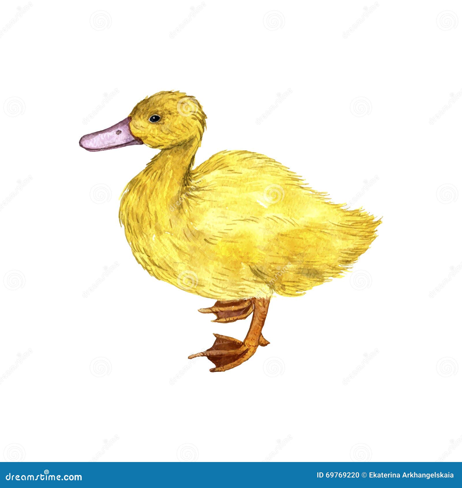 Caneton De Dessin Mignon Stock Illustrations, Vecteurs, & Clipart ...