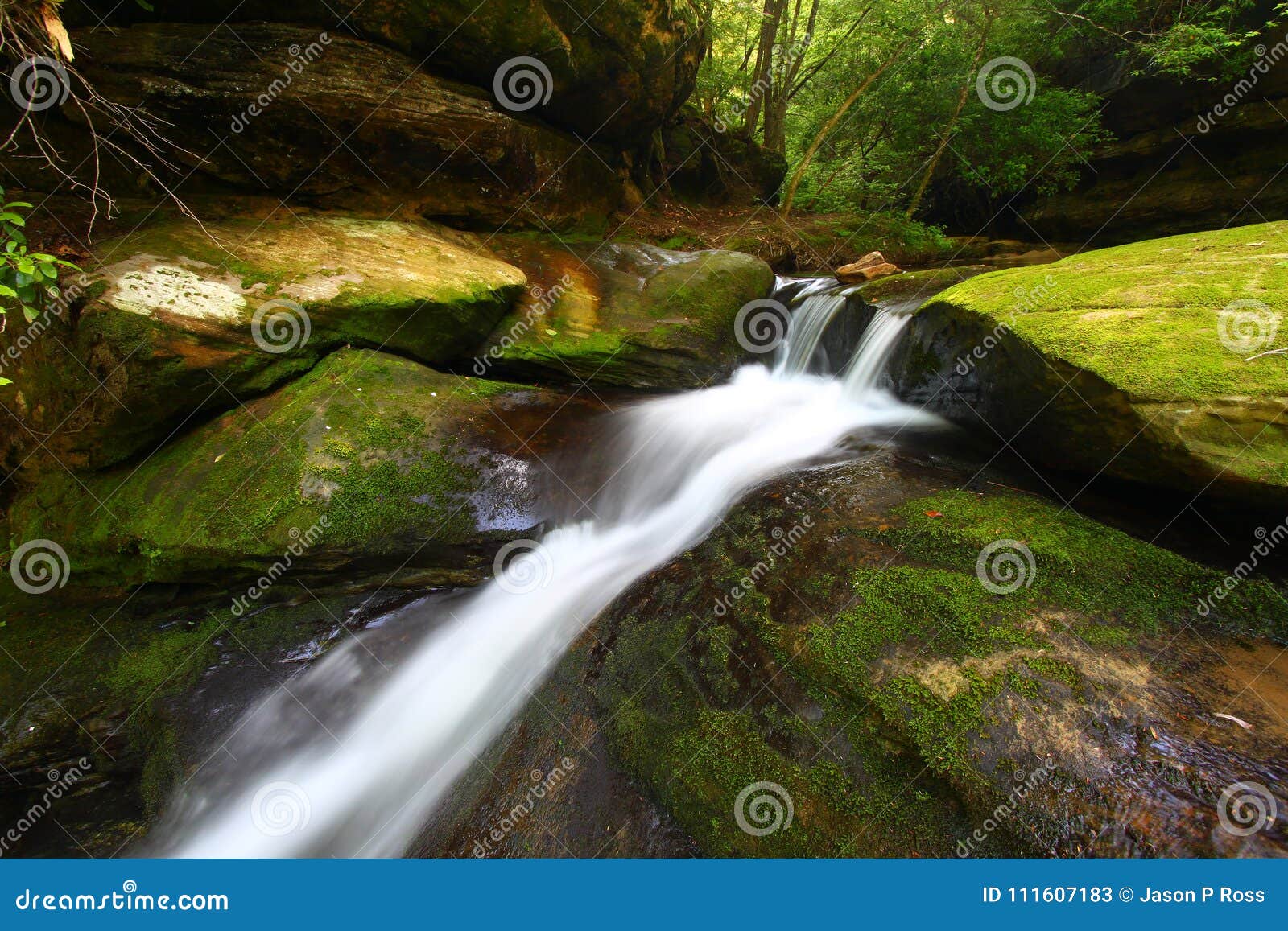 Caney-Nebenfluss-Fall-Landschaft Alabama Stockbild - Bild von recht ...
