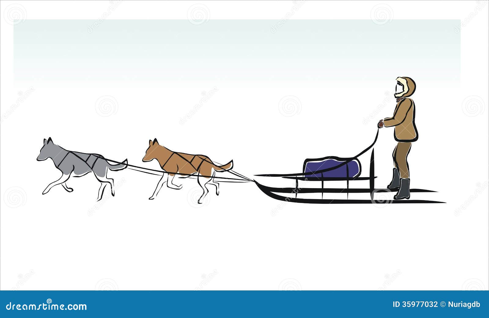 Cani di slitta illustrazione vettoriale. Illustrazione di polare - 35977032