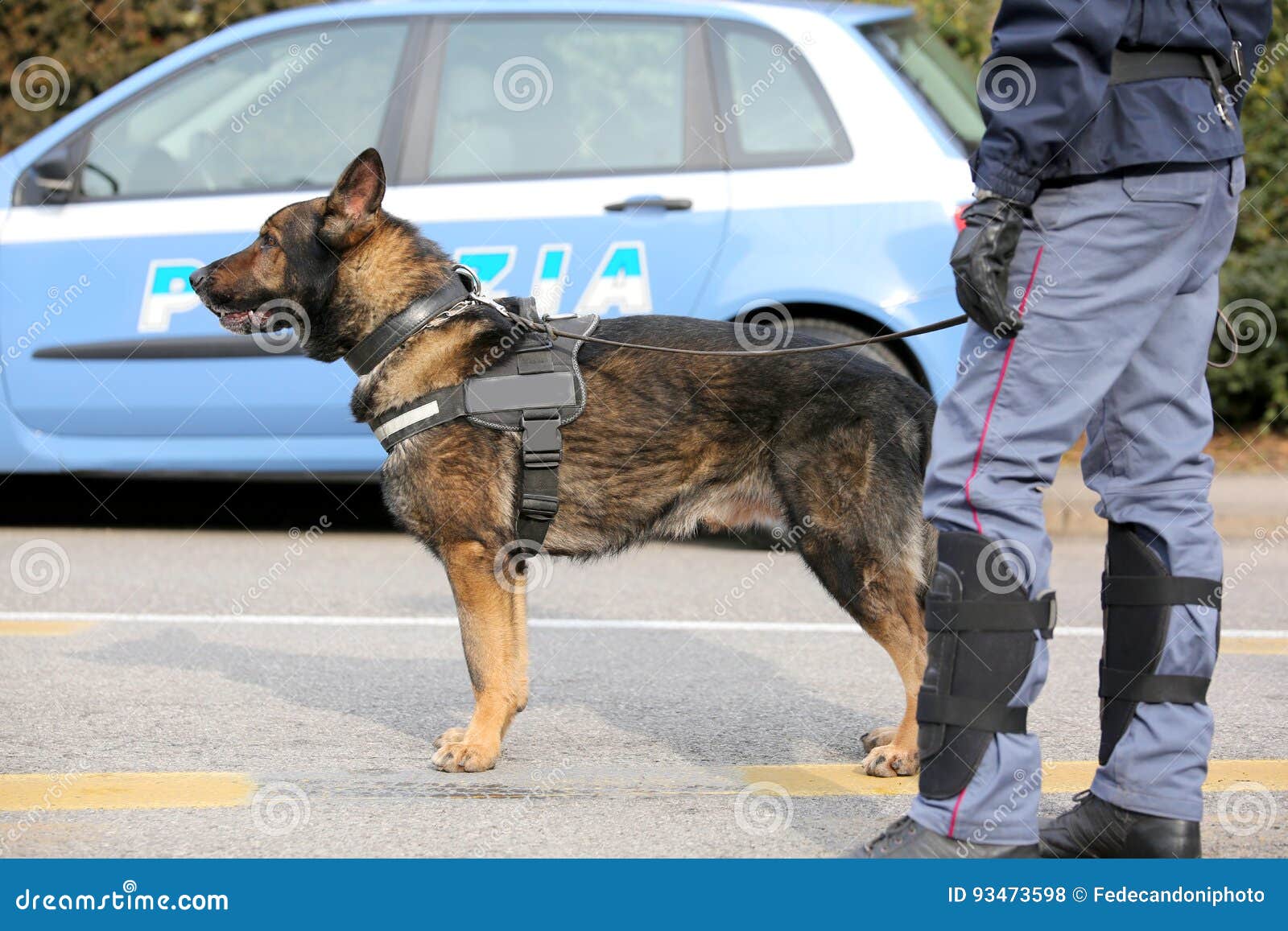Canine Unit of the Italian Police for the Detection of Explosive Stock ...