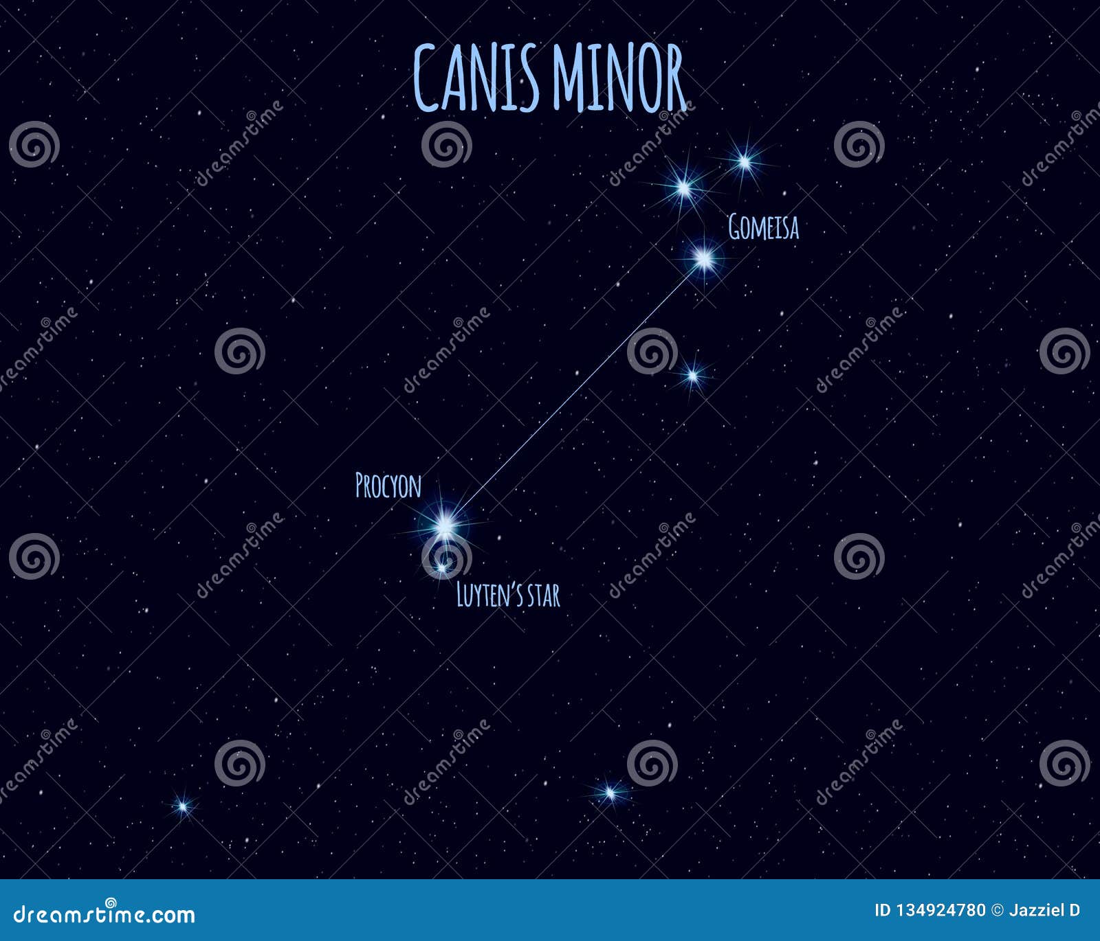 Canis Minor Constellation, Vector Illustration with the Names of Basic ...