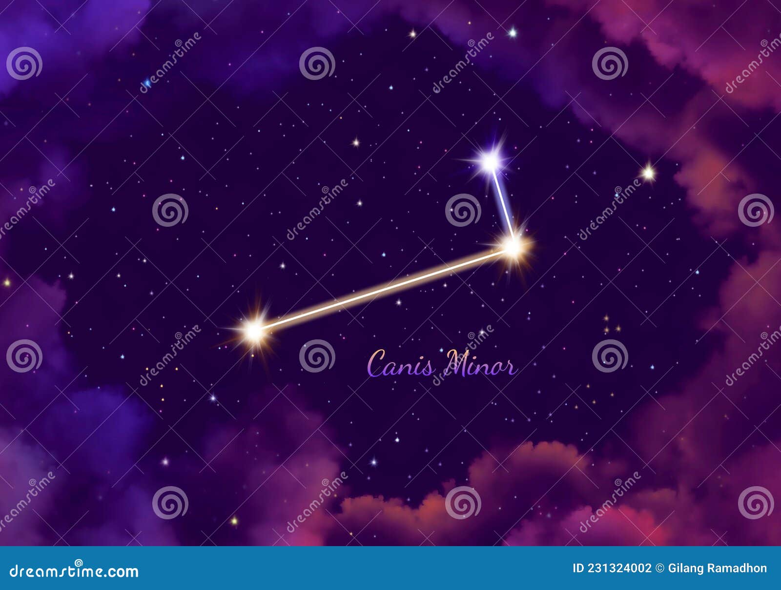 Canis Minor Constellation In Golden Circle Cartoon Vector ...