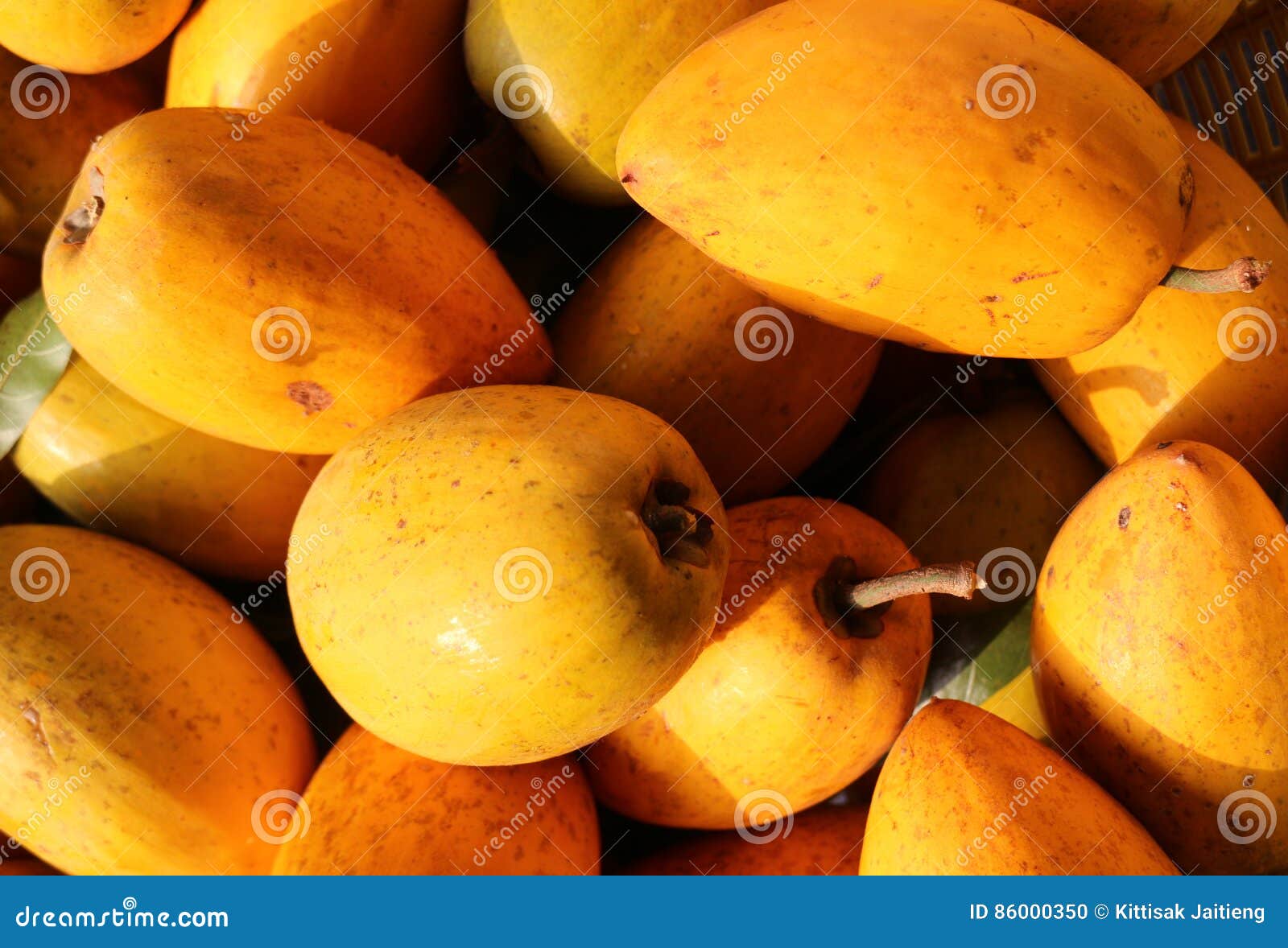 Canistel stock photo. Image of detail, sweet, texture - 86000350