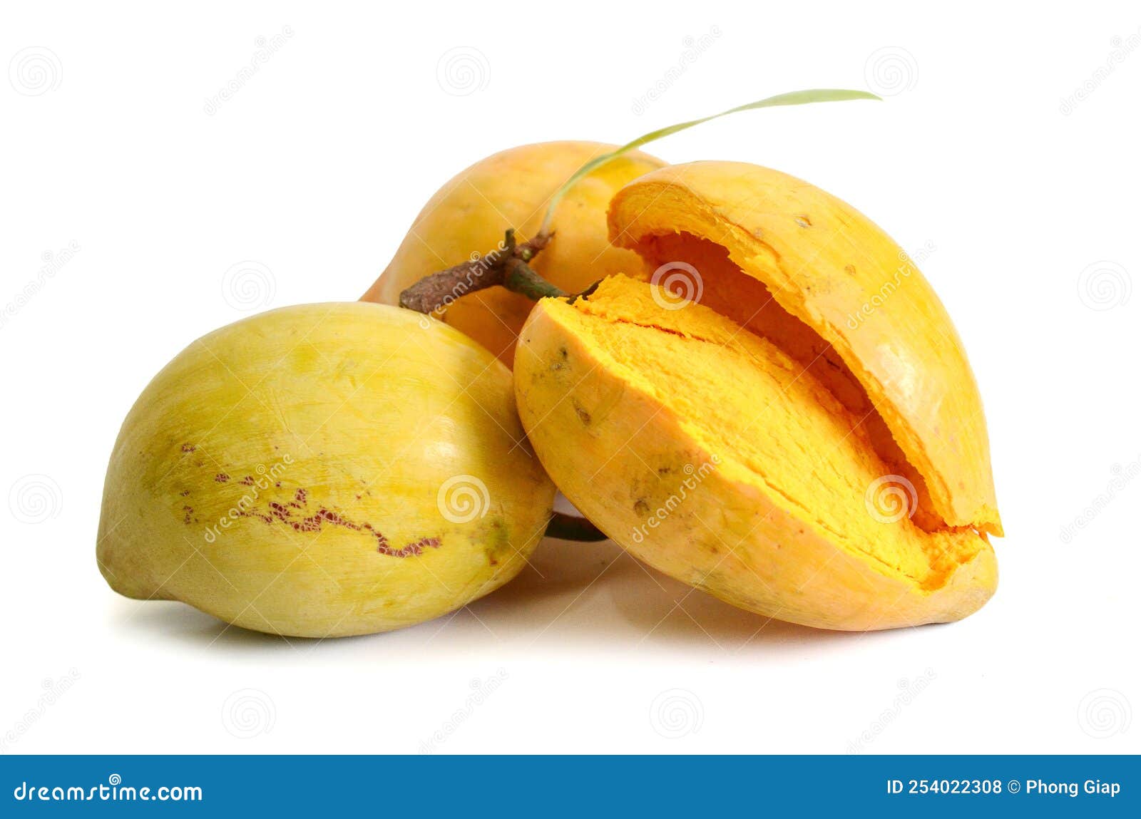 Canistel stock photo. Image of orange, closeup, delicious - 254022308