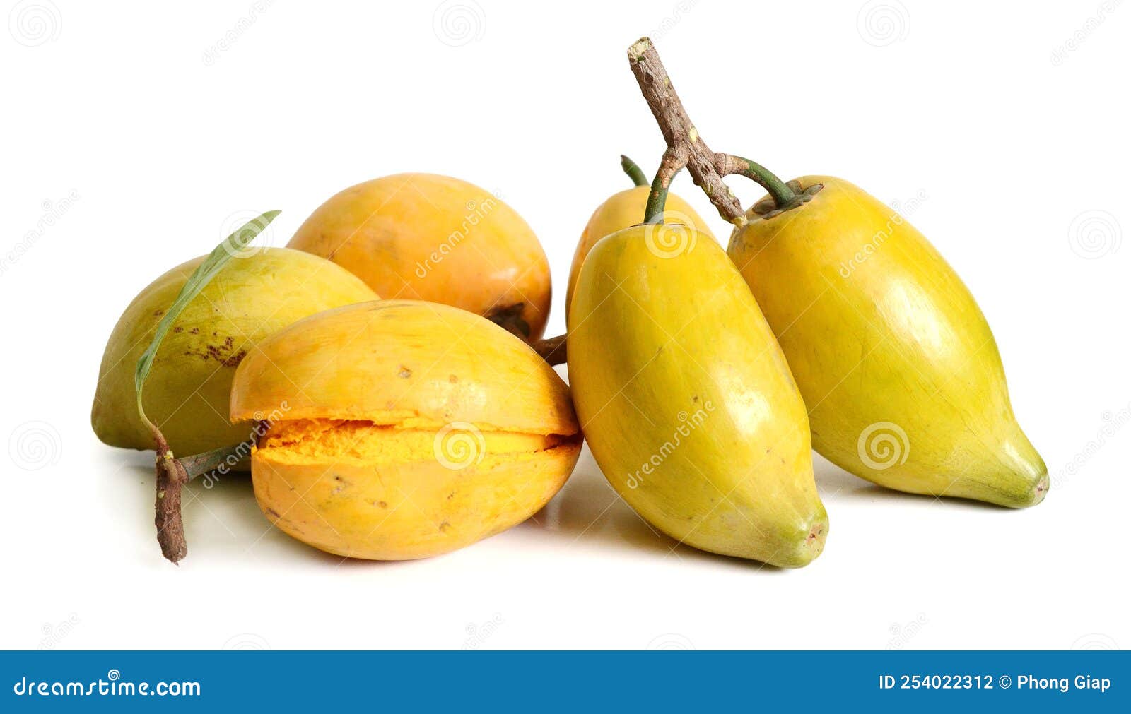 Canistel stock photo. Image of closeup, staple, orange - 254022312