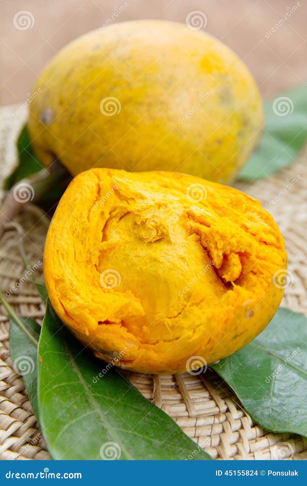 Canistel fruit stock photo. Image of lucuma, organic - 45155824