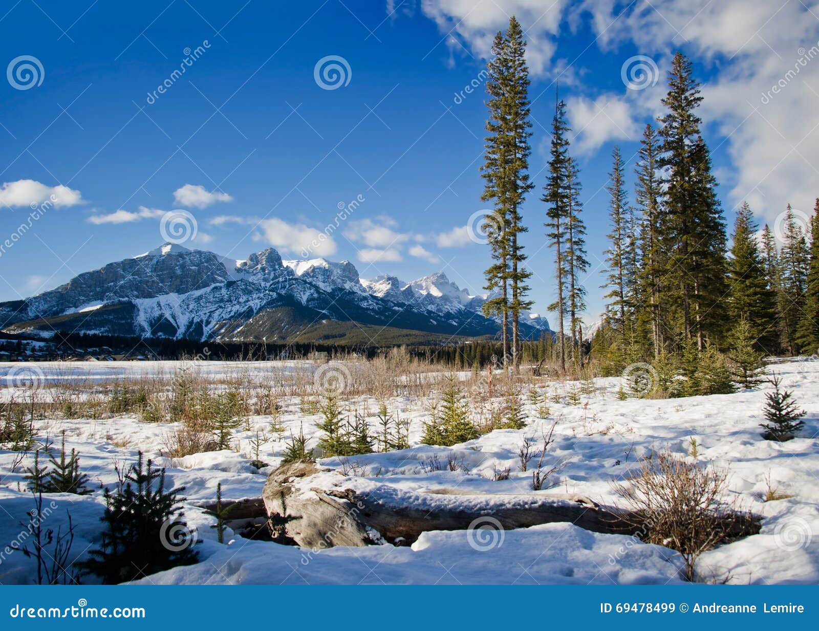 Canmore stock image. Image of warm, winter, spring, nature - 69478499
