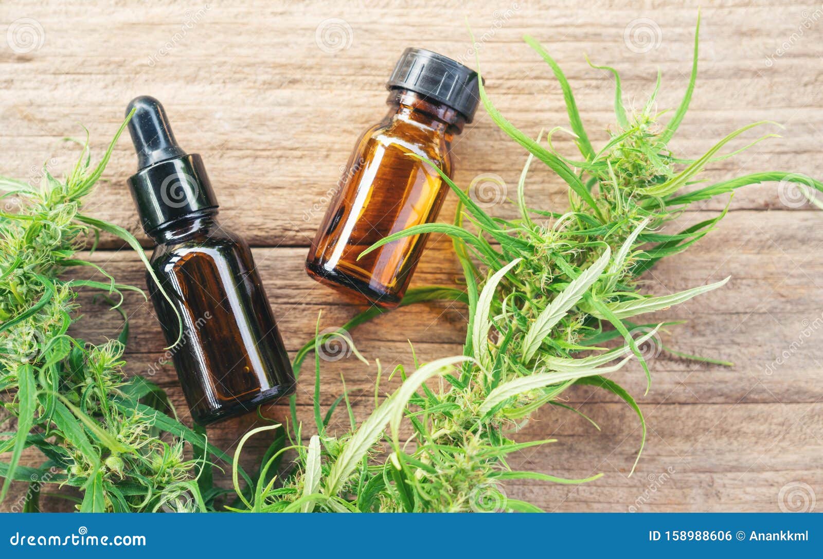 Cannabidiol Cbd Extract in a Bottle Editorial Photo - Image of care ...