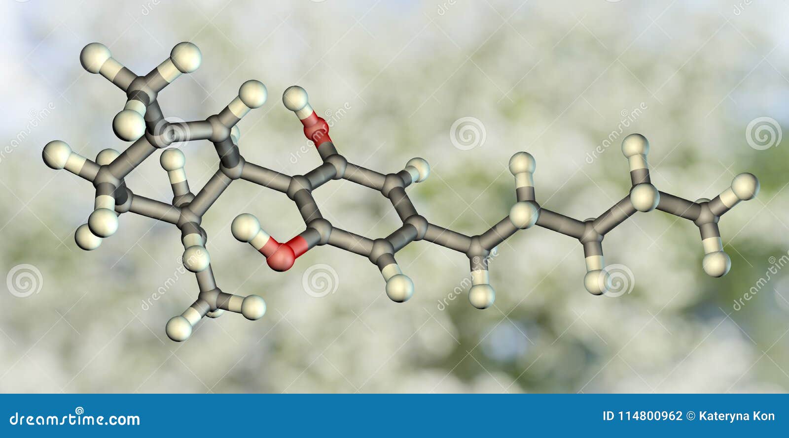 CBD. Cannabidiol. Phytocannabinoid. Structural Chemical Formula And ...