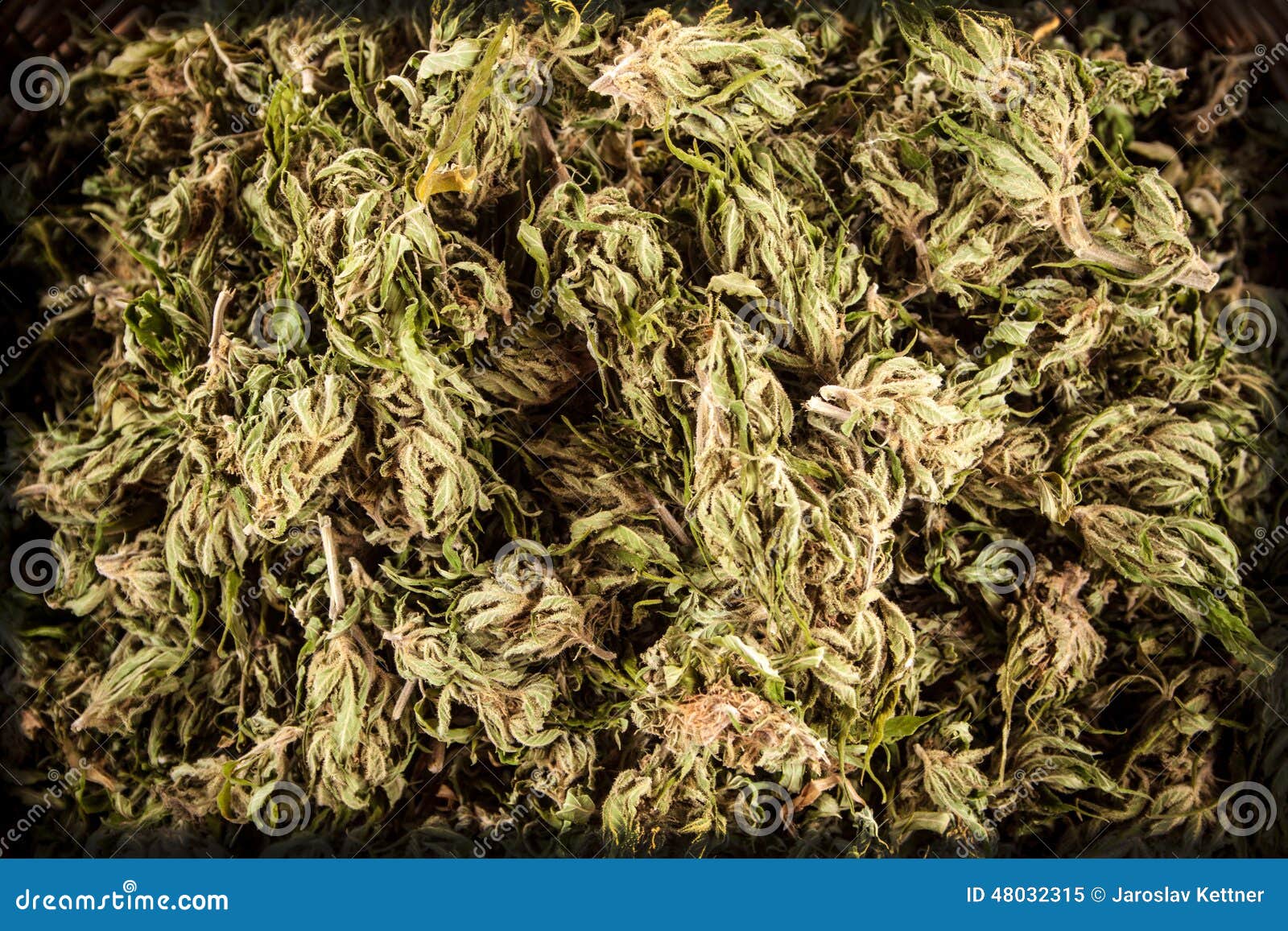 Cannabis stock image. Image of medical, dope, bush, natural - 48032315