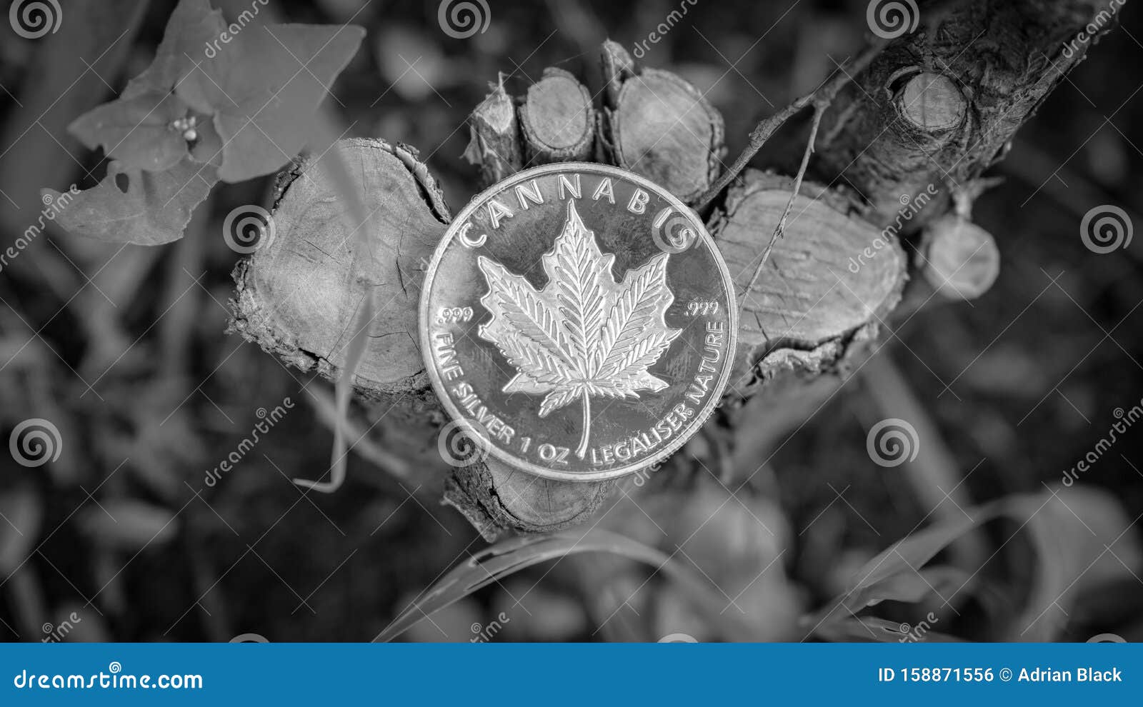 Cannabis coin - silver stock photo. Image of weed, concept - 158871556