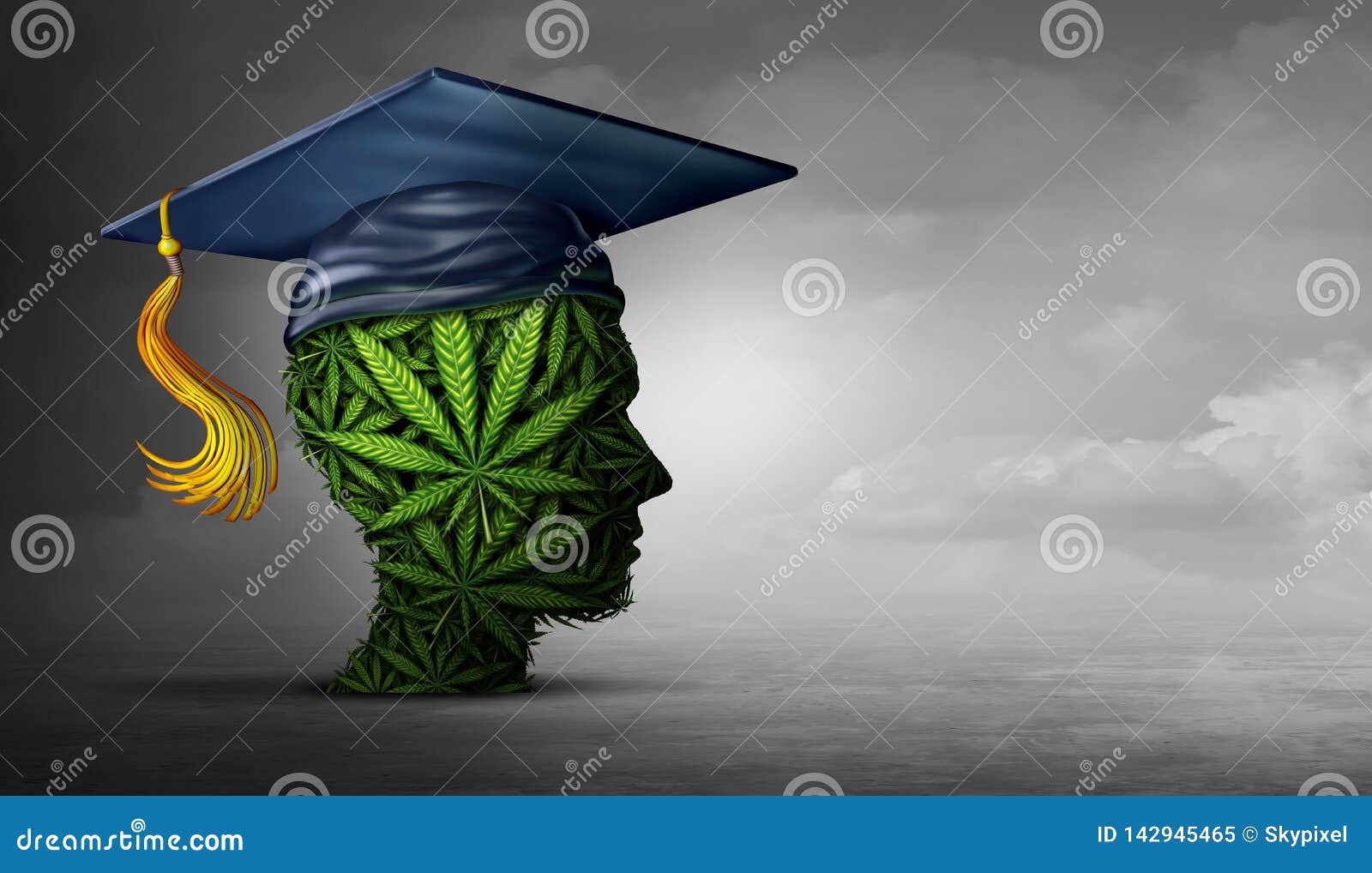 Cannabis EducationAnd Marijuana at School Stock Illustration ...