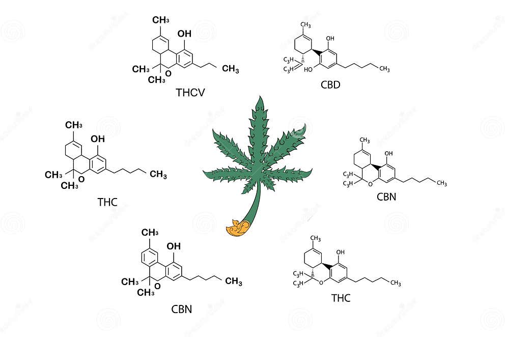Cannabis Formula CBD Skeleton.cannabis Molecule Set Cannabis Formula ...