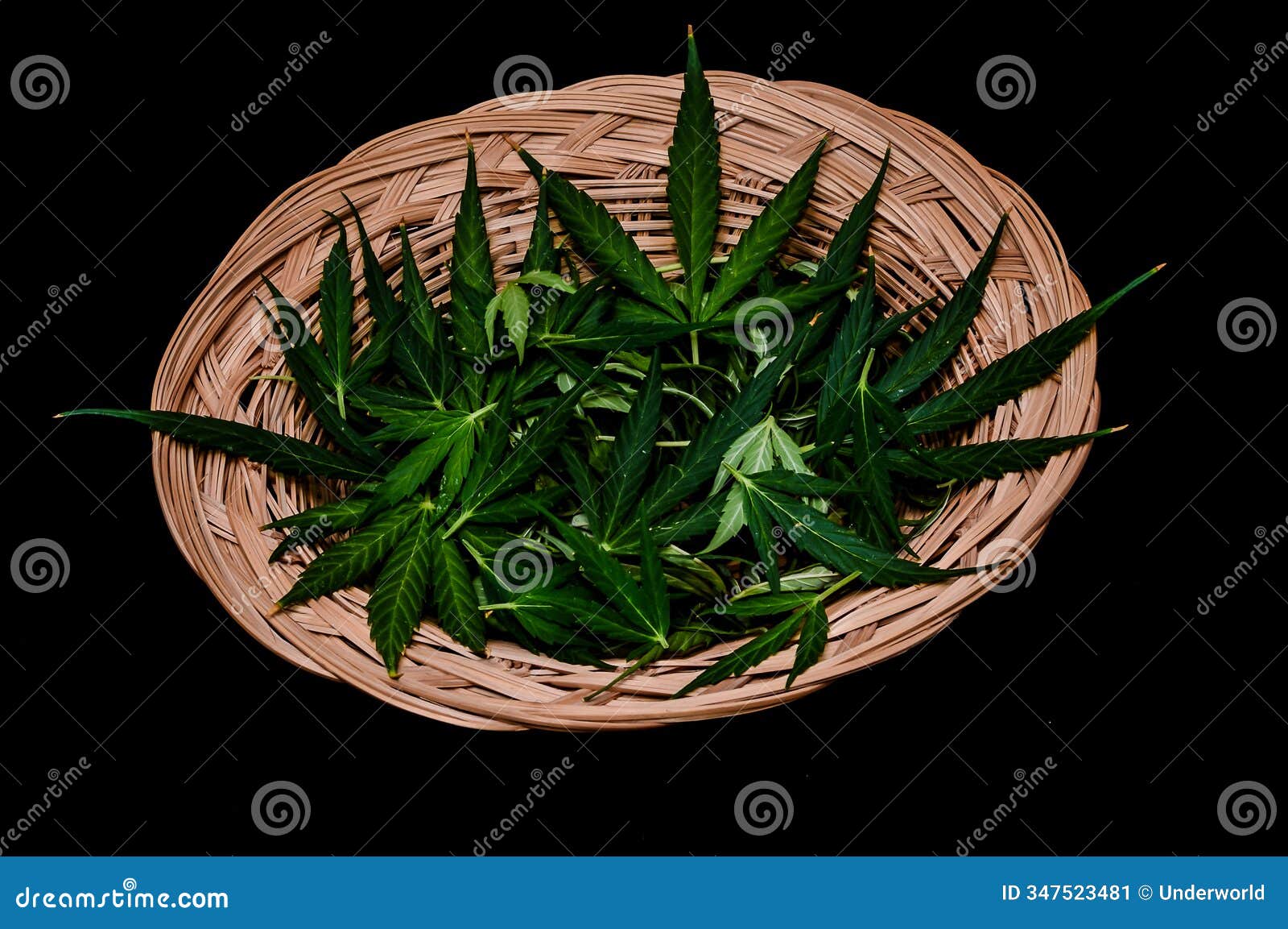 Cannabis Leaf, Marijuana Leaf Isolated On White Background Royalty-Free ...