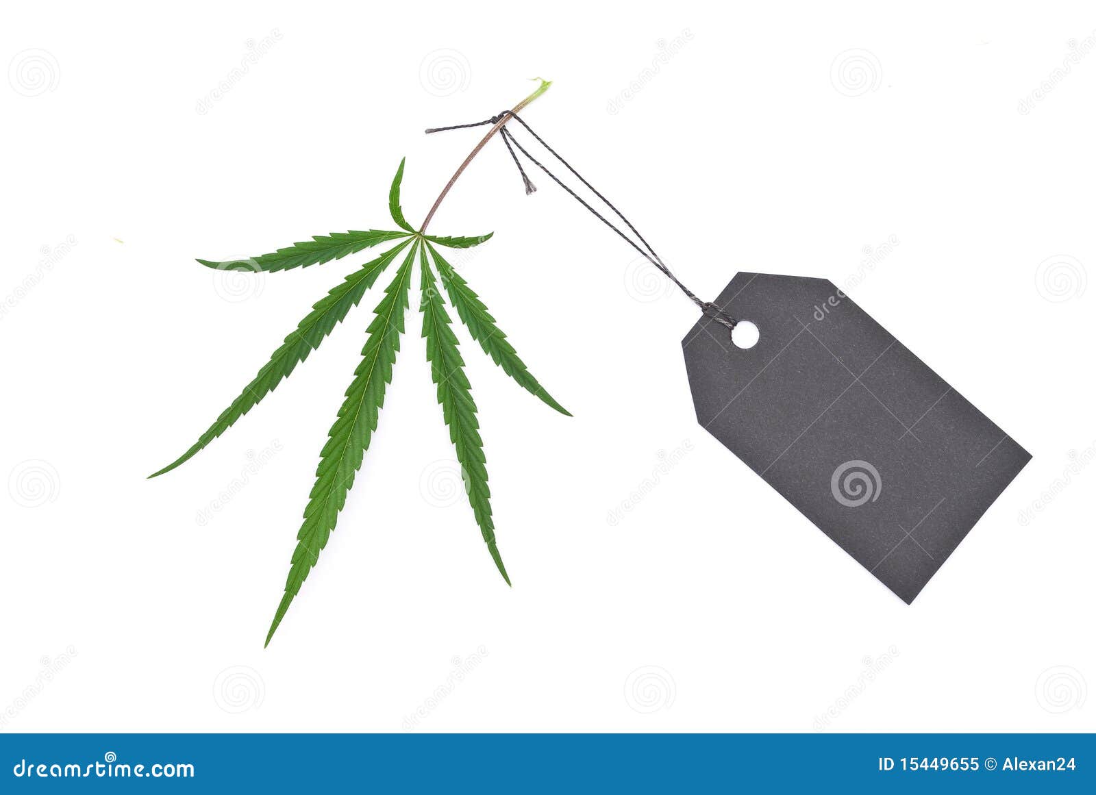 Cannabis Leaf with Black Tag Stock Image - Image of hemp, narcotic ...