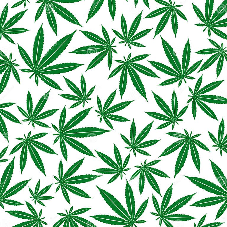 Cannabis, Marijuana Background. Vector Stock Vector - Illustration of ...